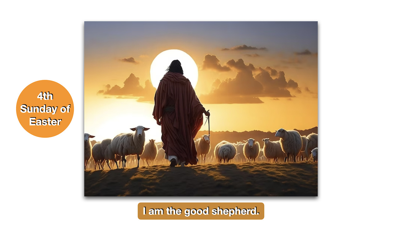 Fr Geoffrey Plant Homilies
