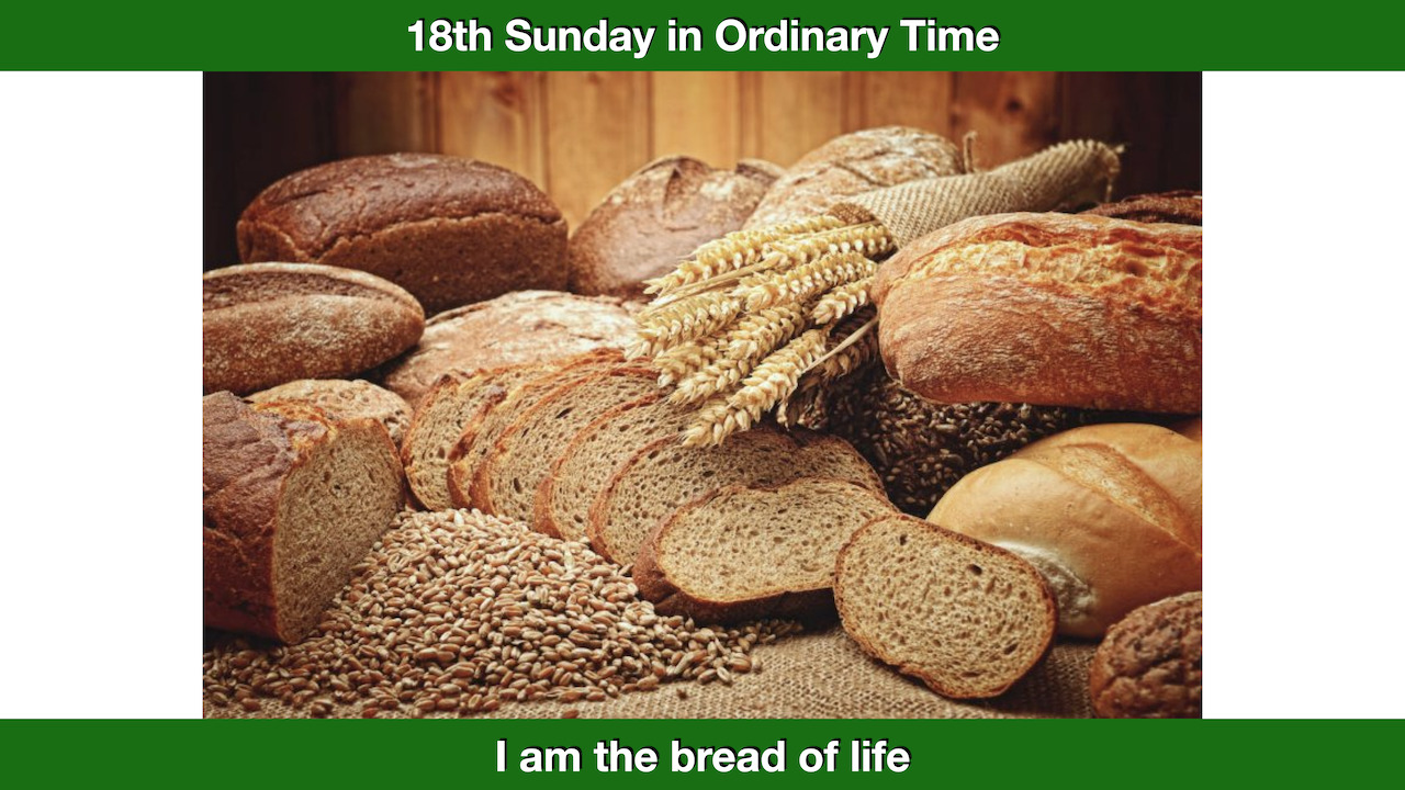 18th Sunday in Ordinary Time – Fr Geoffrey Plant Homilies