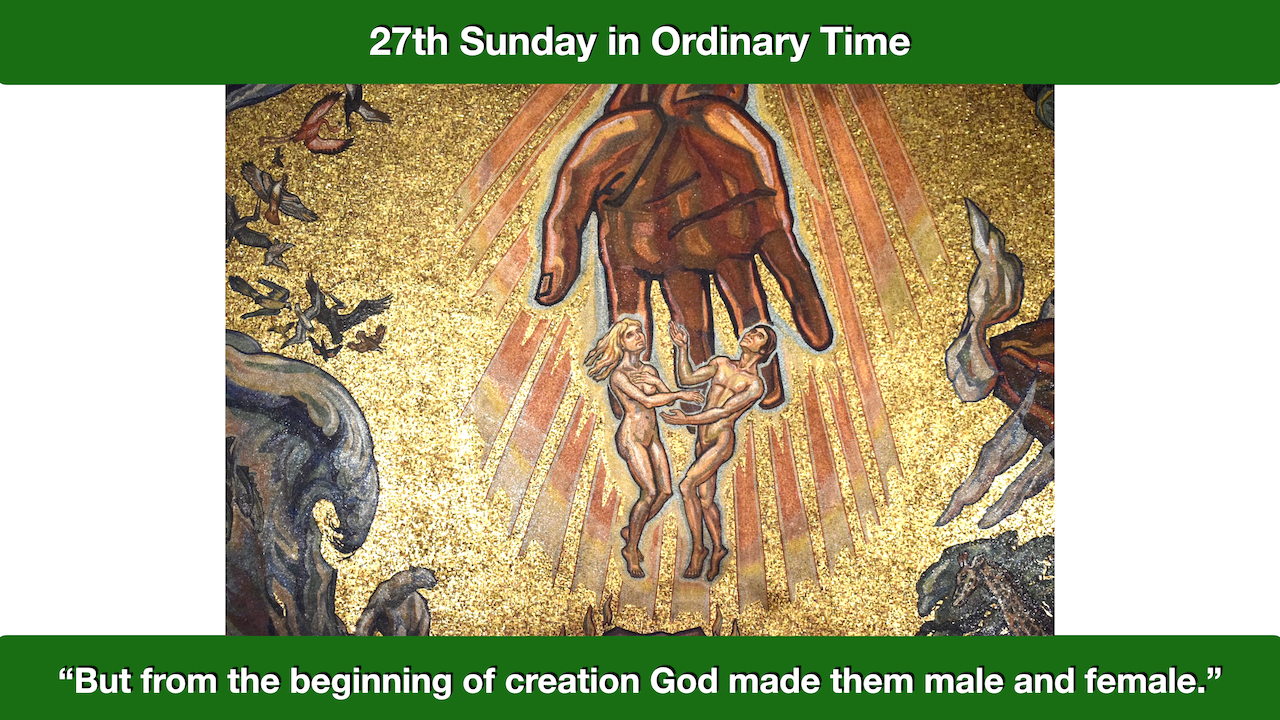 27th Sunday in Ordinary Time – Fr Geoffrey Plant Homilies