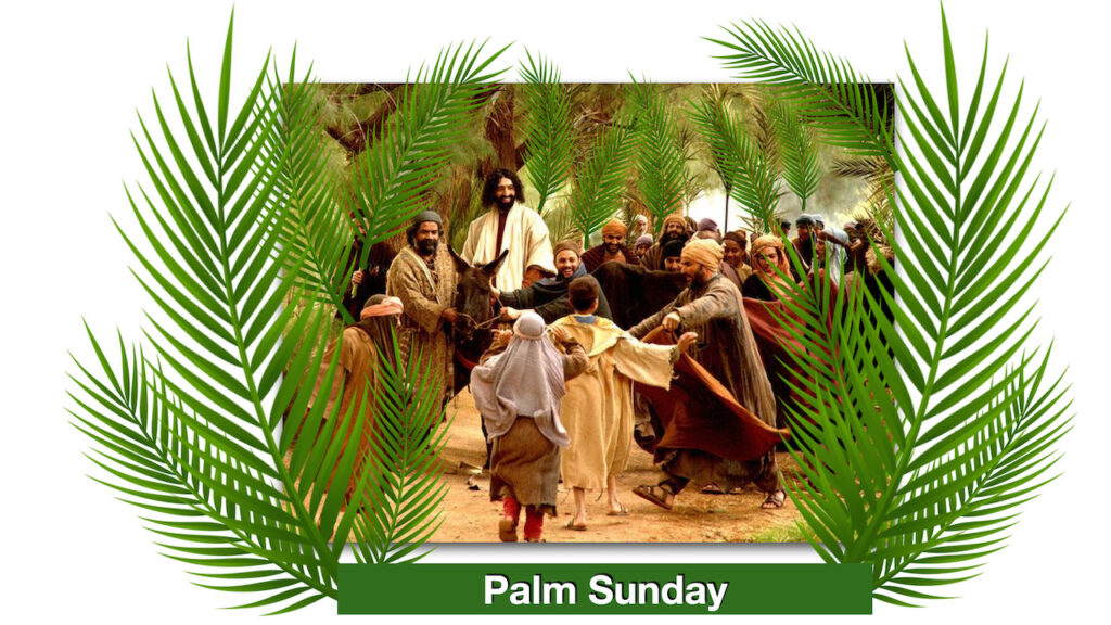 Palm Sunday – Fr Geoffrey Plant Homilies