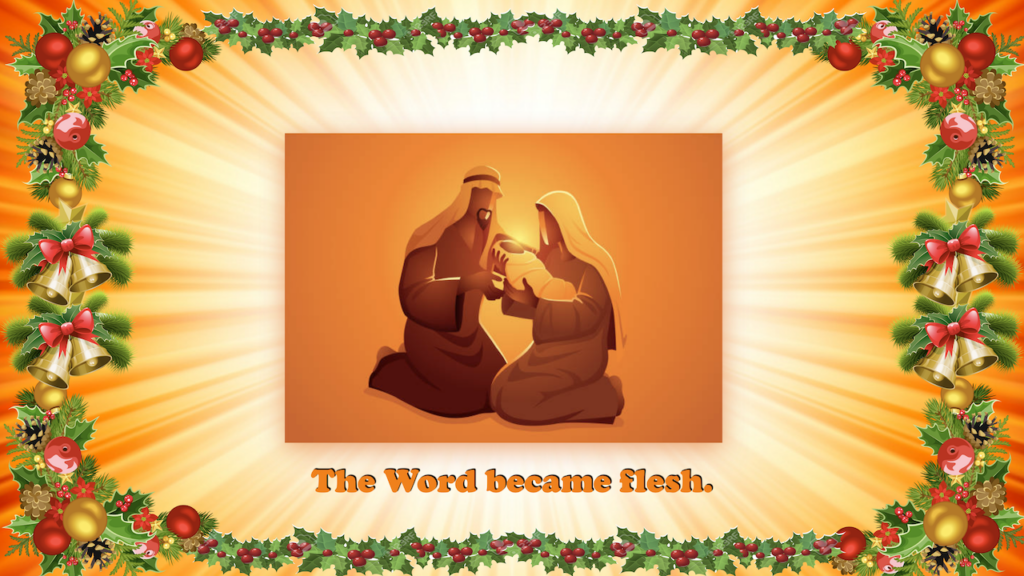 Homily for Christmas Day – Fr Geoffrey Plant Homilies