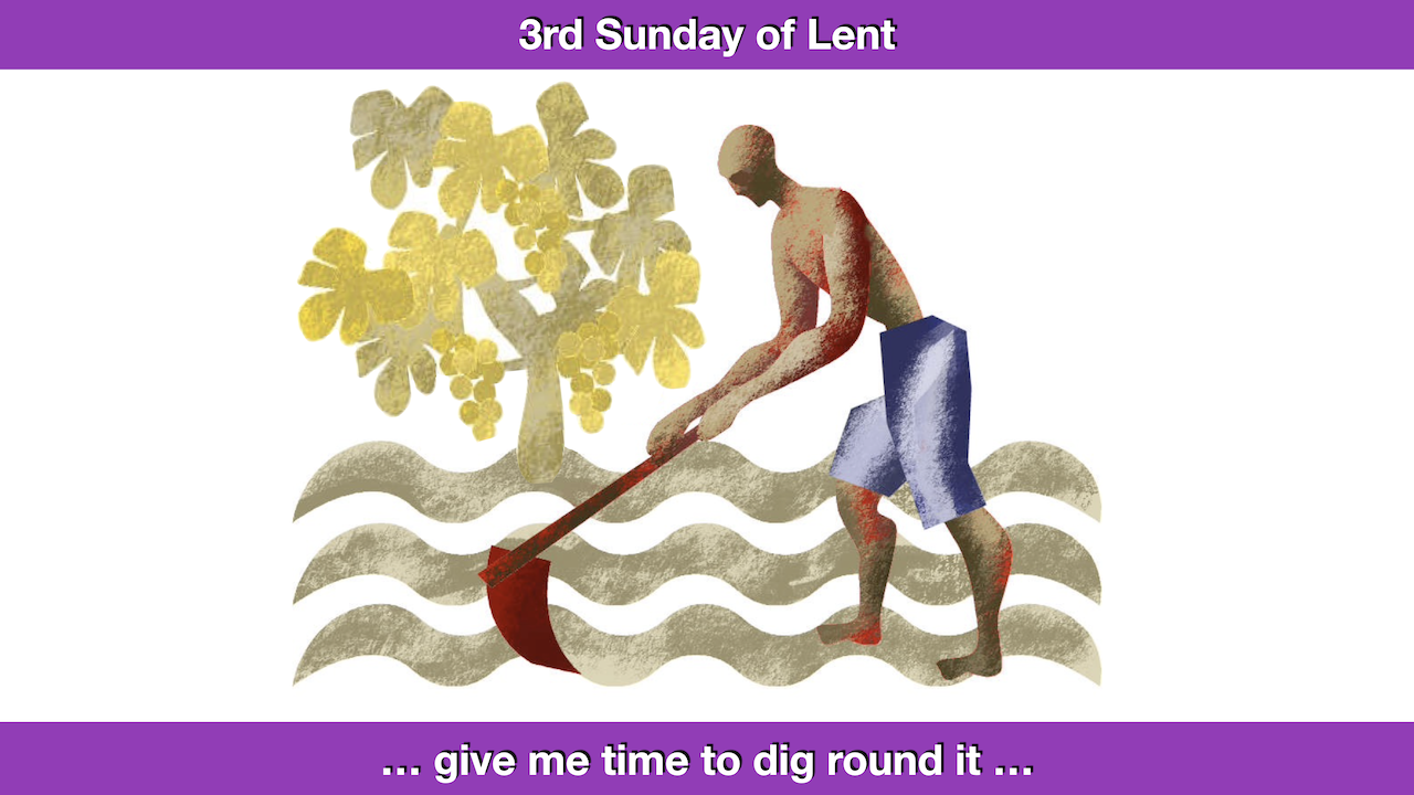 3rd Sunday of Lent, Year C – Fr Geoffrey Plant Homilies