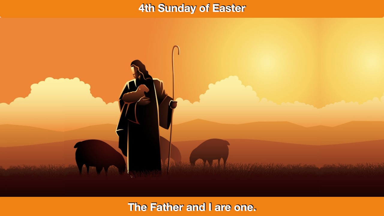 4th Sunday of Easter, Year C – Fr Geoffrey Plant Homilies