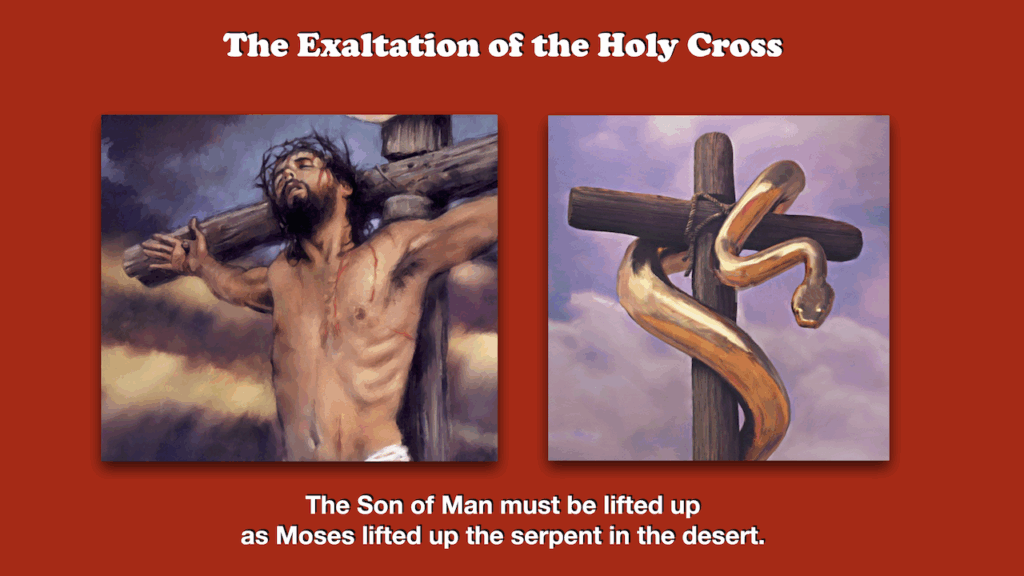 Homilies – Fr Geoffrey Plant Homilies