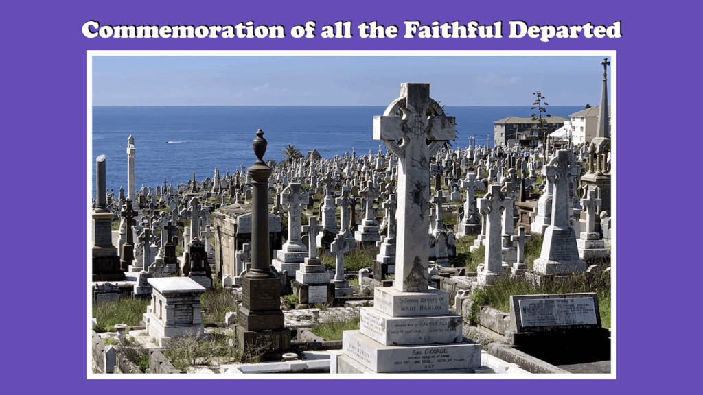 Homilies – Fr Geoffrey Plant Homilies