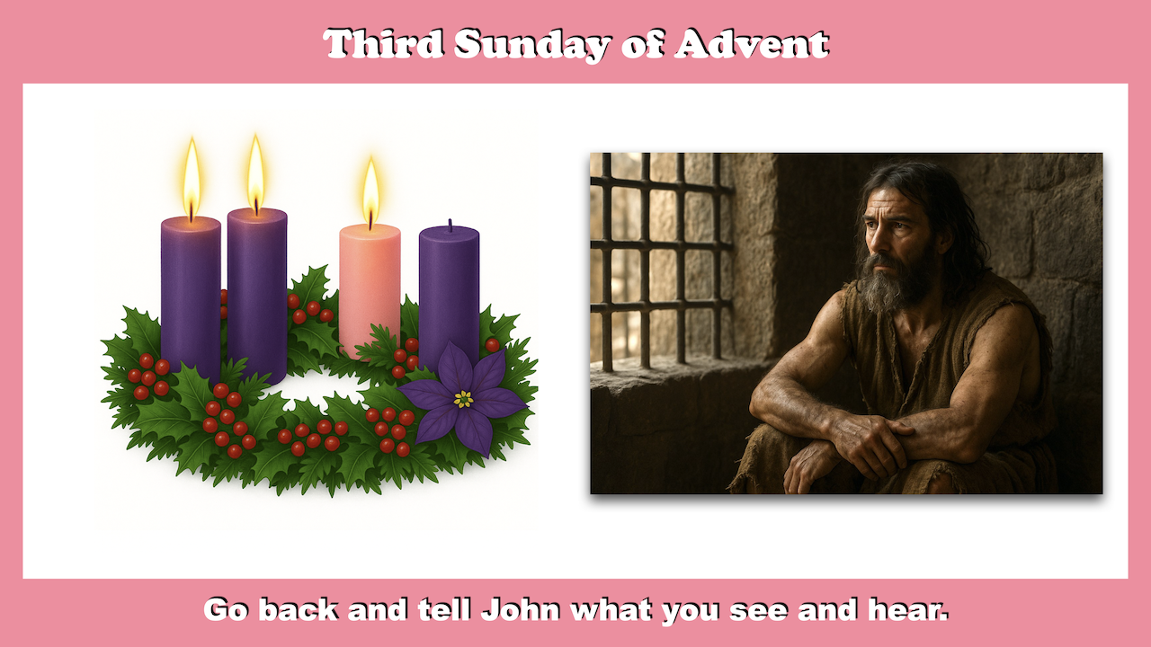 Fr Geoffrey Plant Homilies